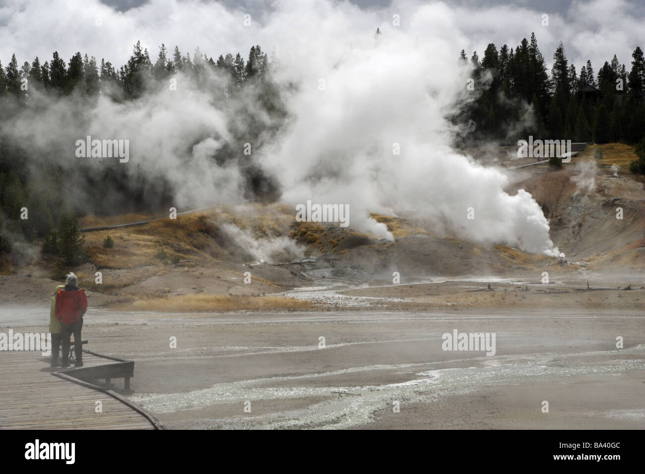Norris Geyser Basin with steam venting from its geysers in Yellowstone ...