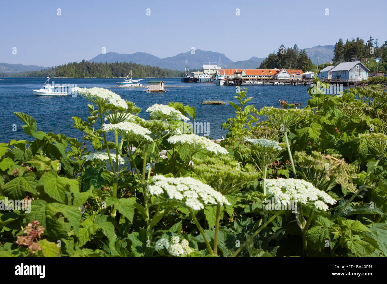 Klawock alaska hi-res stock photography and images - Alamy