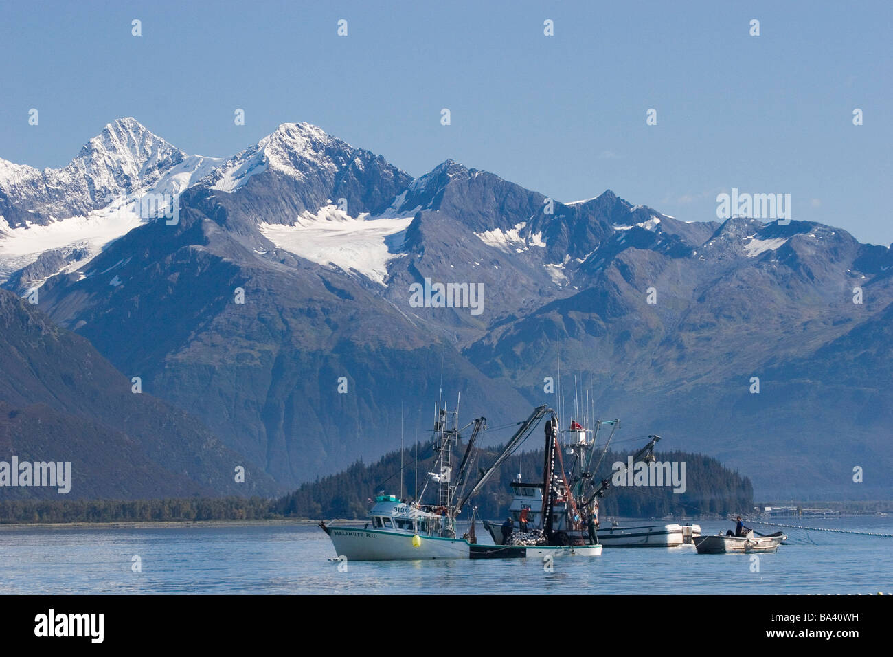 Commercial seining fishing boats in Port Valdez Prince William Sound ...