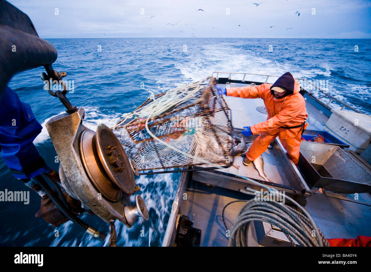 Deckhands lower a baited pot over the deck of the F/V Centurion while ...