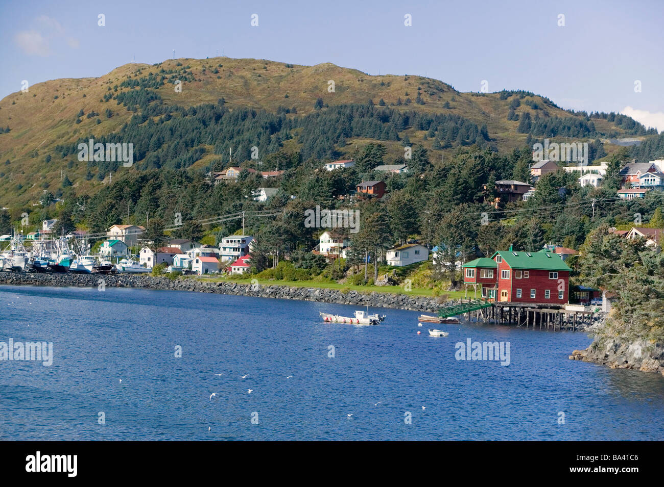 Gulf of alaska community hi-res stock photography and images - Alamy