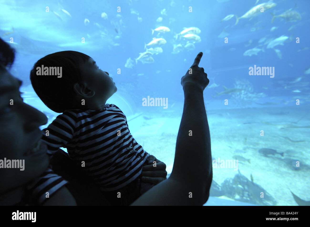 People watch fish in aquarium hi-res stock photography and images - Alamy