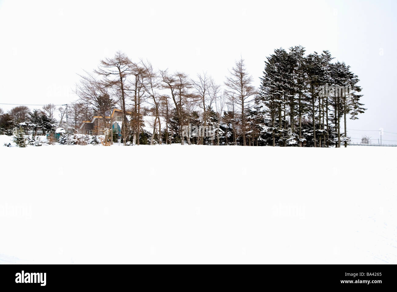 Japan Hokkaido Ski Resort Snow view Stock Photo - Alamy