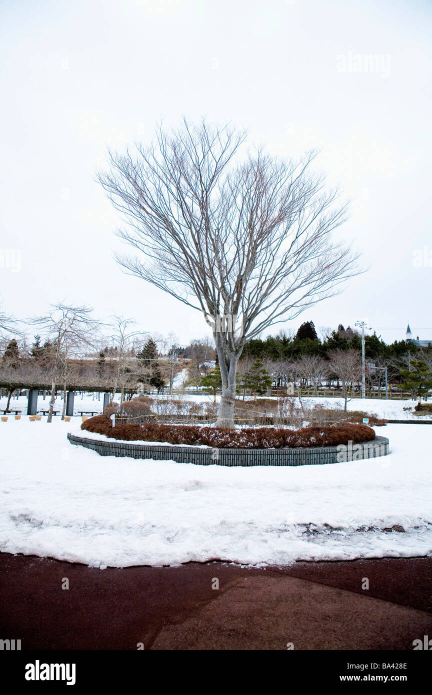 Japan Hokkaido snow view Stock Photo - Alamy