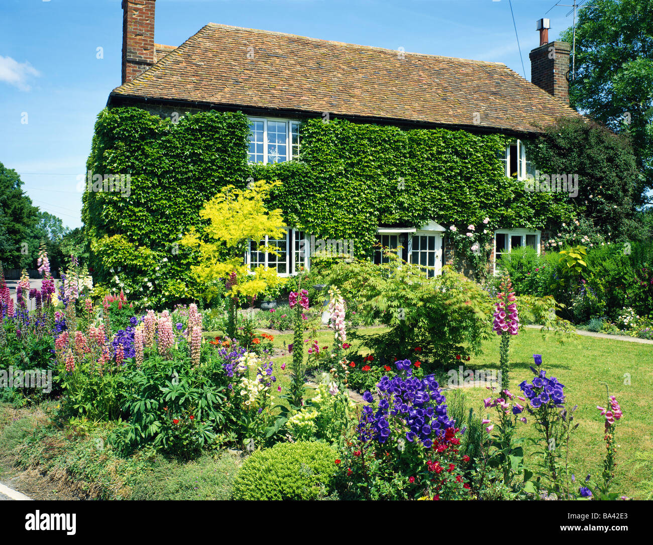 Etchinghill hi-res stock photography and images - Alamy