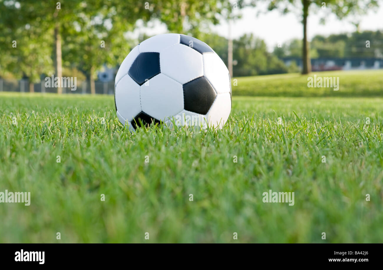 Soccer ball on the field Stock Photo - Alamy