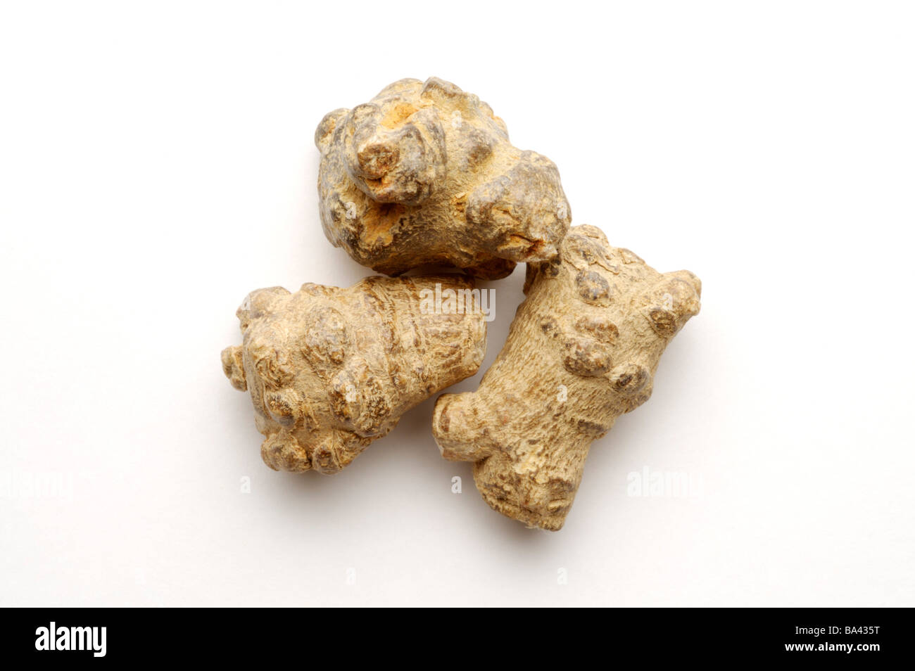 Radix notoginseng against white background close up Stock Photo - Alamy
