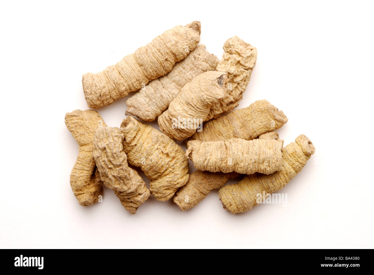 Morinda root hi-res stock photography and images - Alamy
