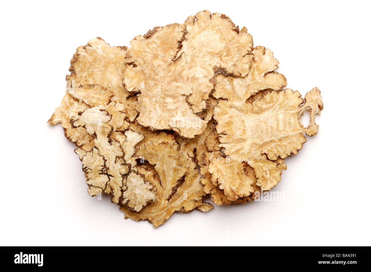 Szehuan lovage roots against white background Stock Photo - Alamy
