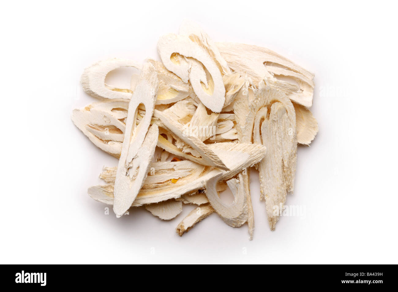 Chinese herbal medicine White Mulberry Root bark Stock Photo - Alamy