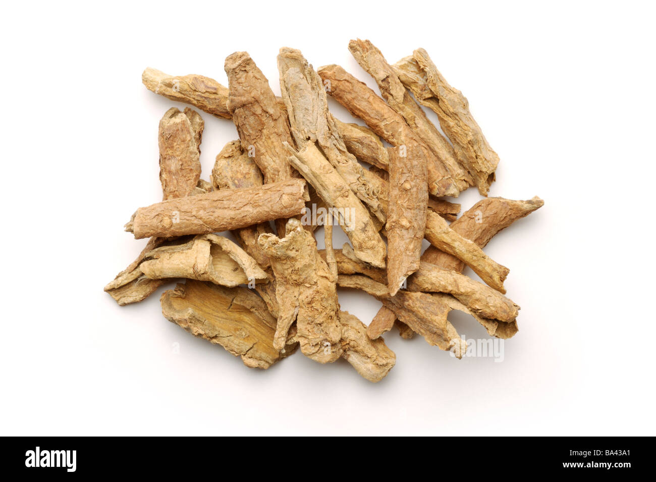 Chinese herbal medicine Chinese Wolfberry Root bark Stock Photo - Alamy
