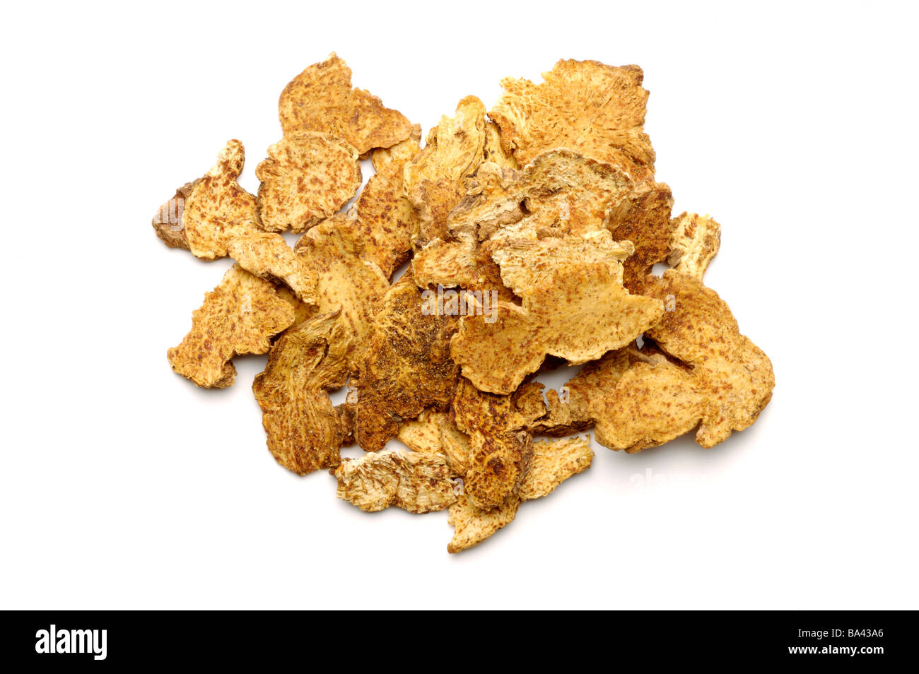 Atractylodes Rhizomes against white background close up Stock Photo - Alamy
