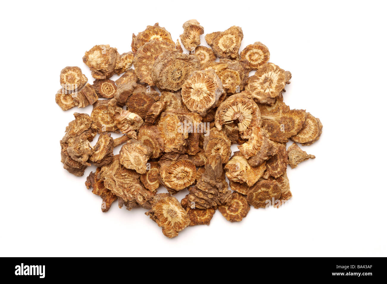 Chinese medicinal herbs Incised Notopterygium Rhizome or Root Stock ...