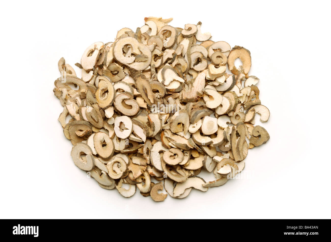 Tree Barks Cut Out Stock Images And Pictures Alamy