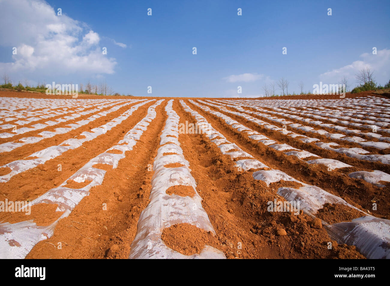 China Yunnan Province Dongchuan Red Land Field Stock Photo - Alamy