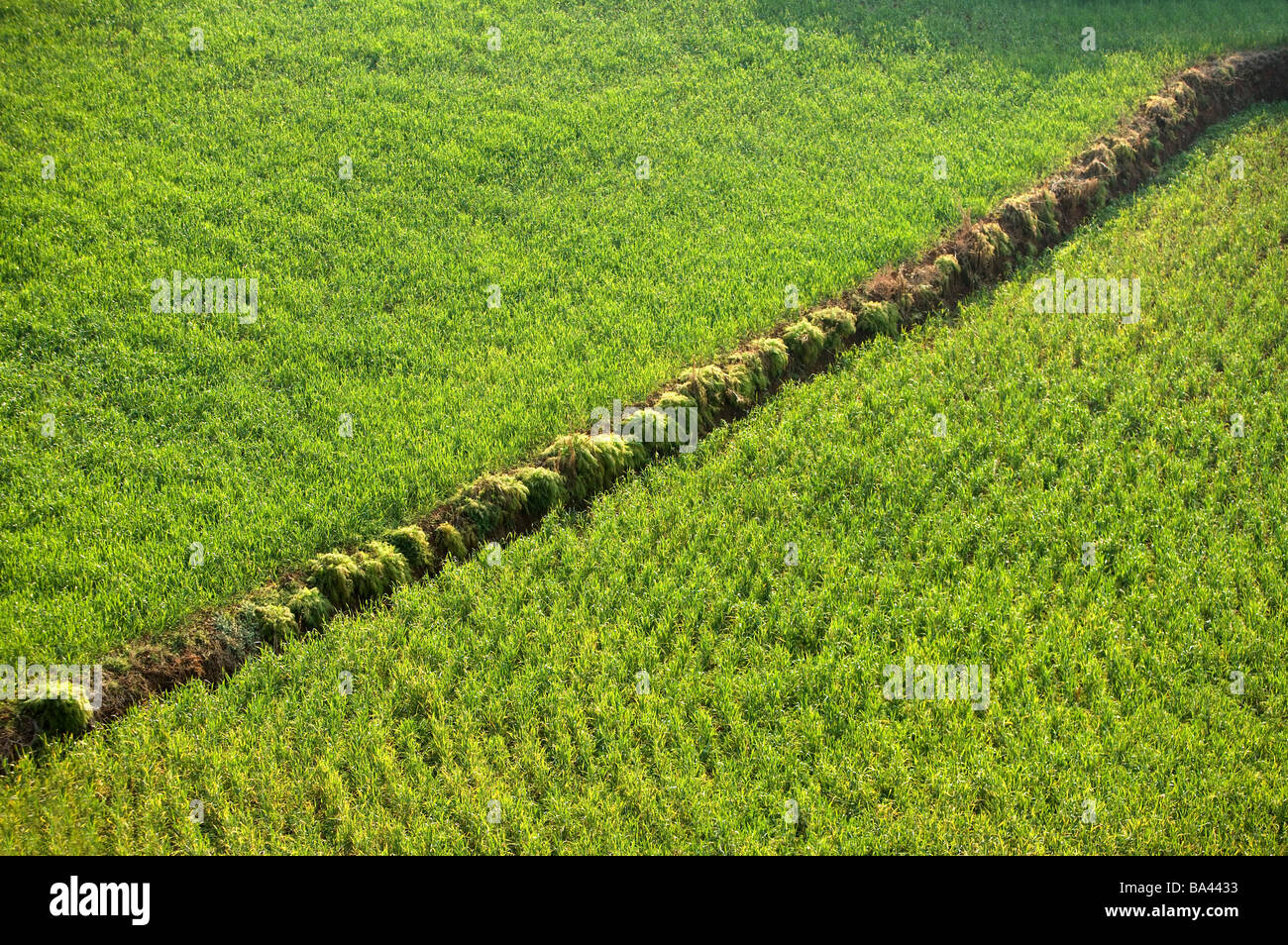 China Yunnan Province Dongchuan Red Land Crop field Stock Photo - Alamy