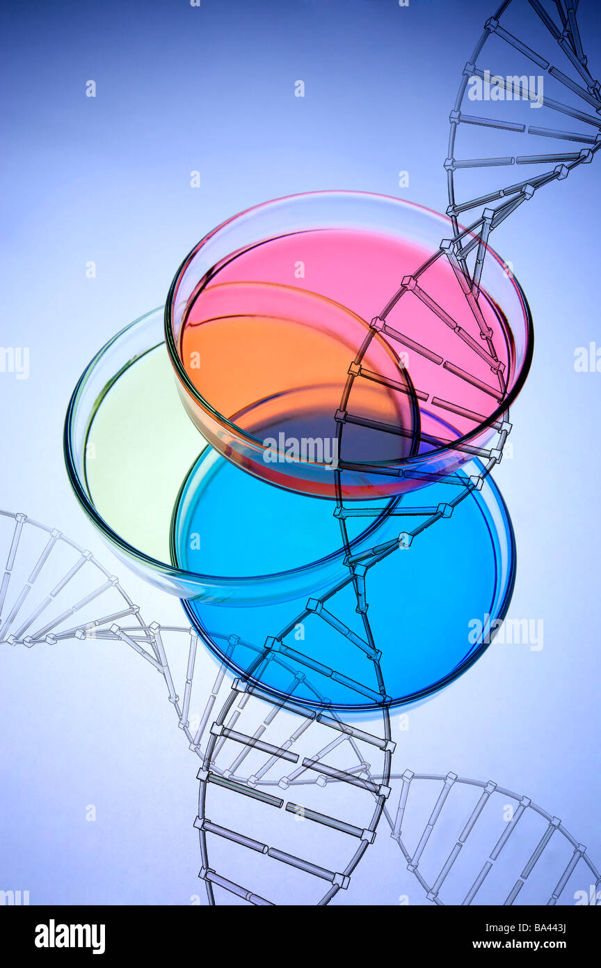 Dna structure hi-res stock photography and images - Alamy