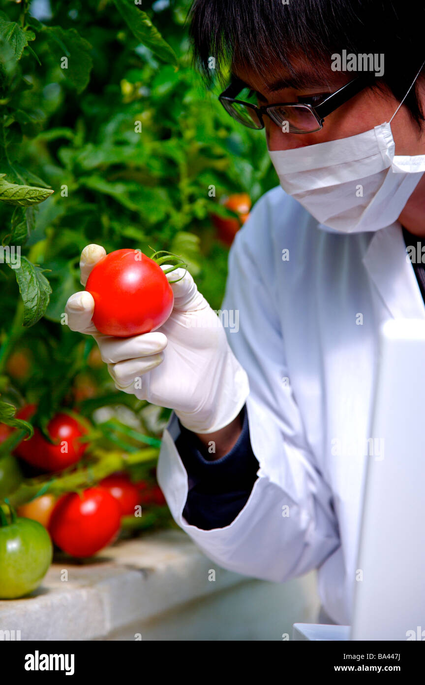 Inspecting lab technician holding hi-res stock photography and images ...