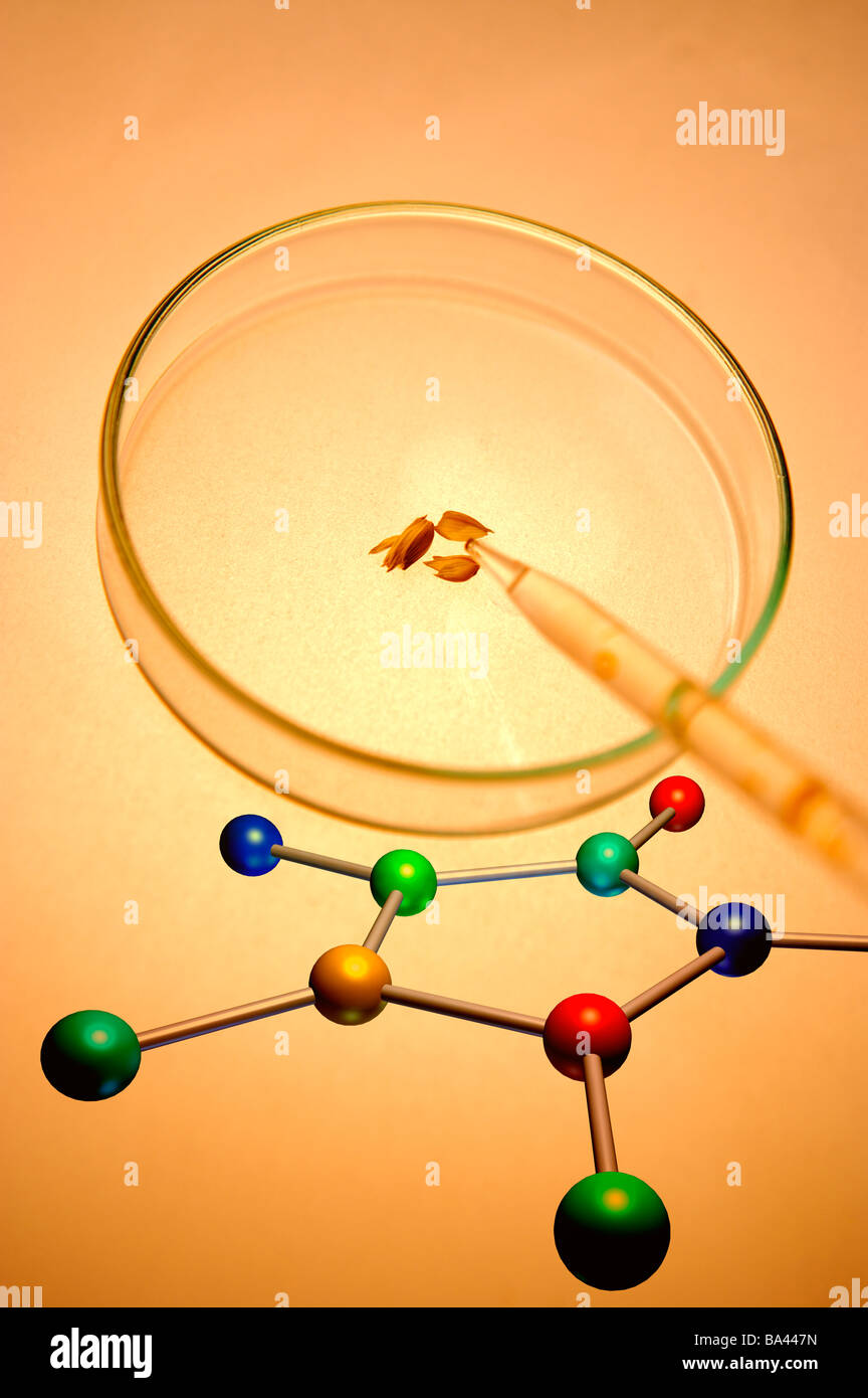 Molecular structure and petri dish Digital Composite Stock Photo - Alamy