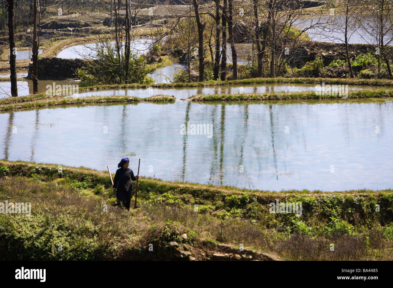 China Yunnan Province Yuanyang Rural Scene Stock Photo - Alamy