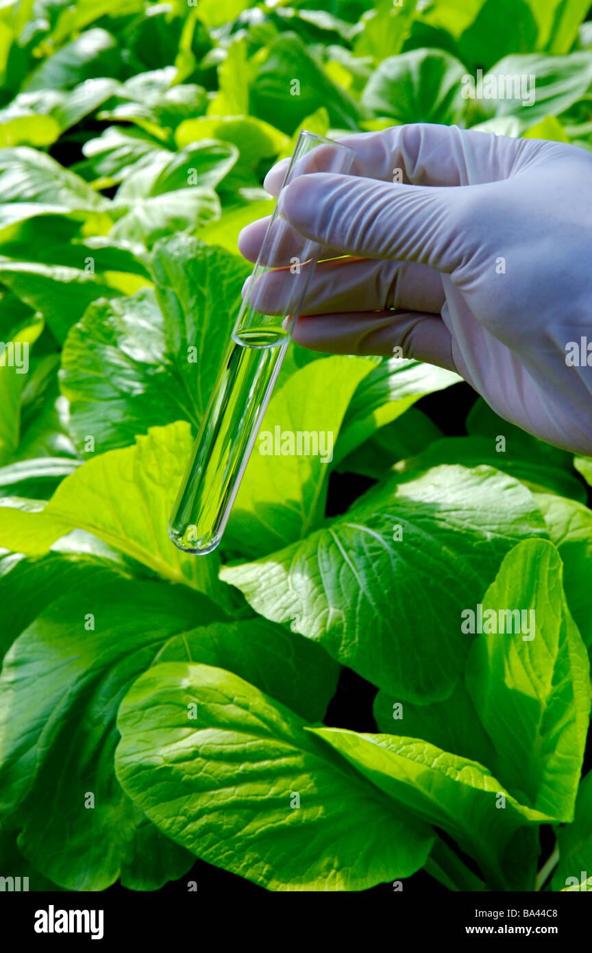 Greenh hi-res stock photography and images - Alamy
