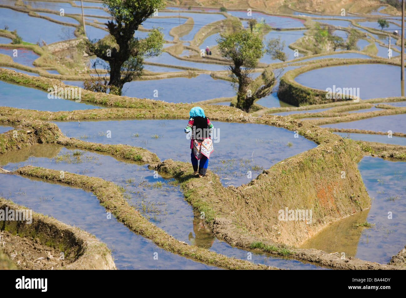 China Yunnan Province Yuanyang Terraced Field Stock Photo - Alamy