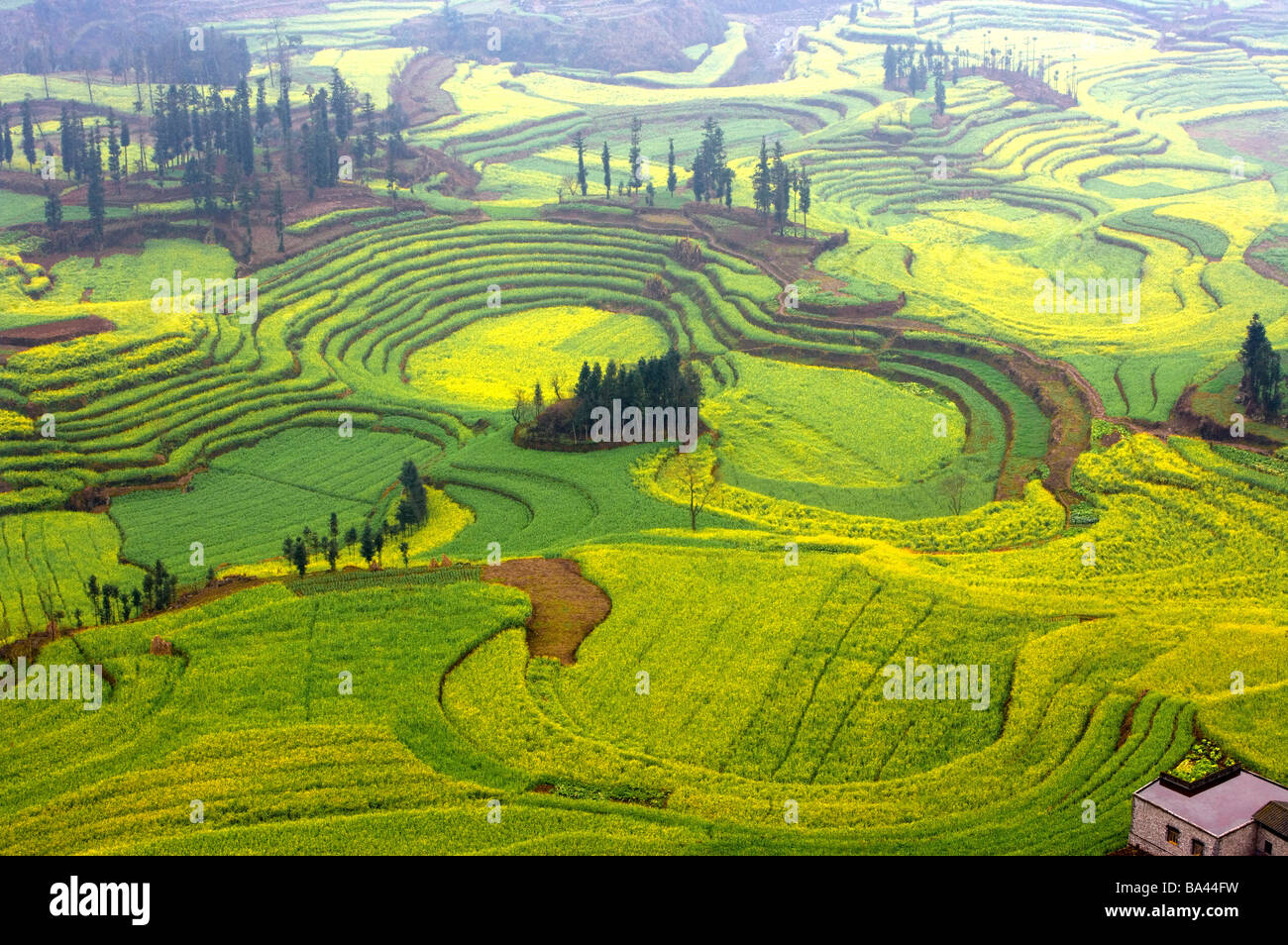 China Yunnan Province Niujie Screw Fields Stock Photo - Alamy