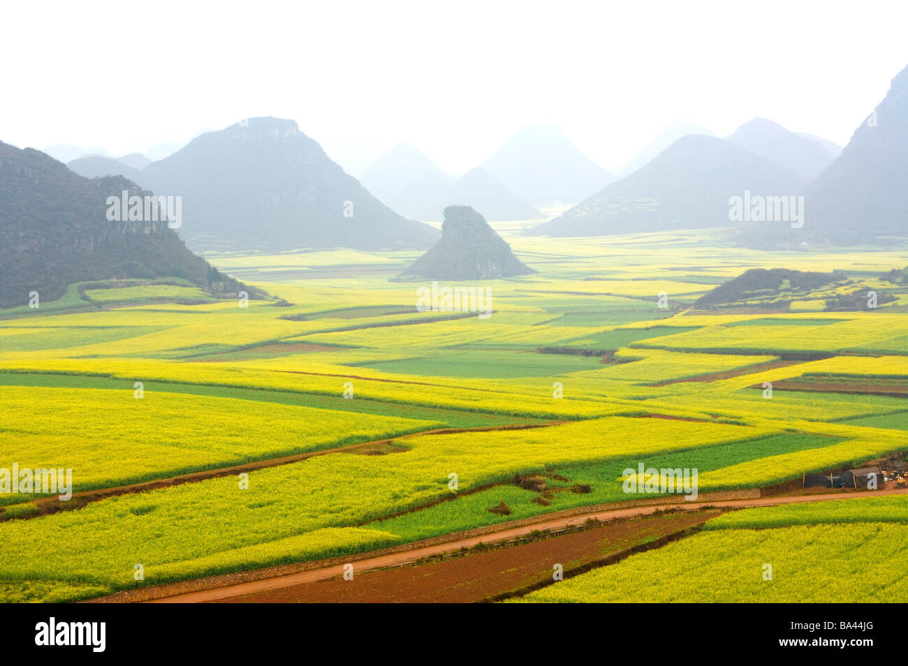 China Yunnan Province Luoping County Golden Rooster Hills Stock Photo ...