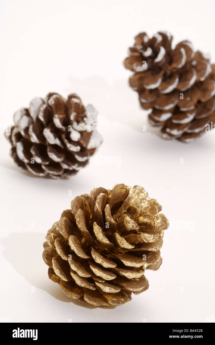 Three pine cones close up Stock Photo - Alamy