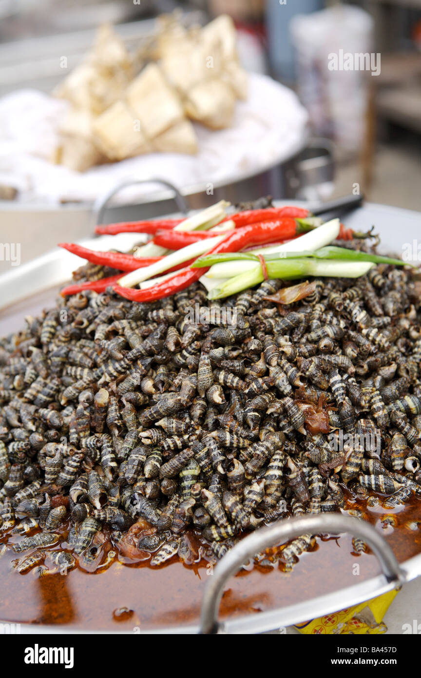 Liquor Spiral Shell Stock Photo - Alamy