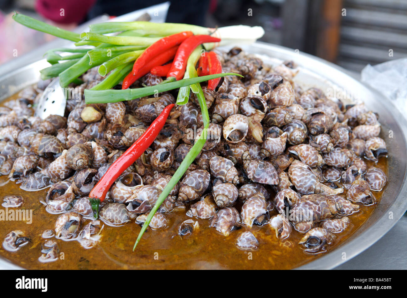 Winkles hi-res stock photography and images - Alamy