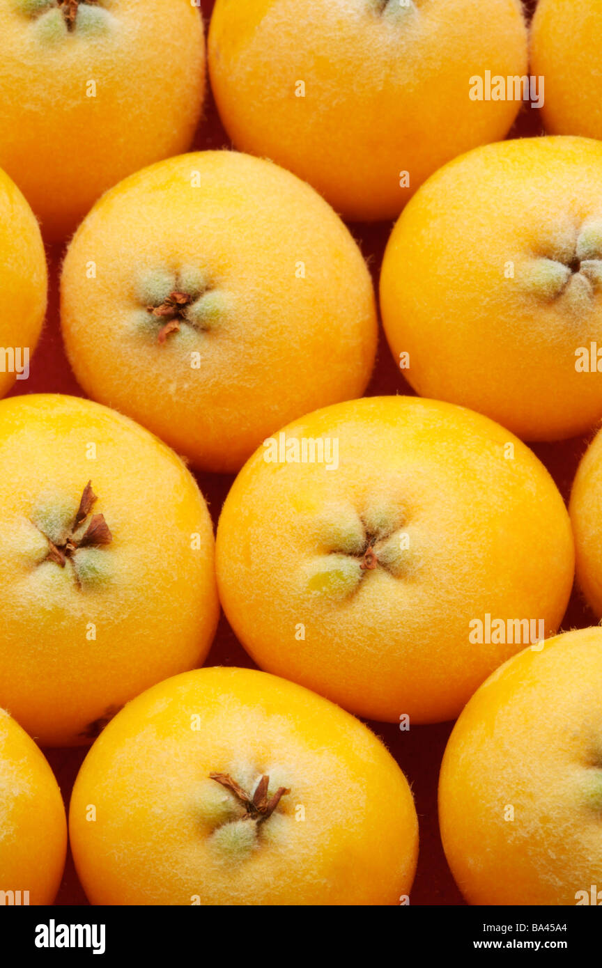 Eating loquat fruit hi-res stock photography and images - Alamy