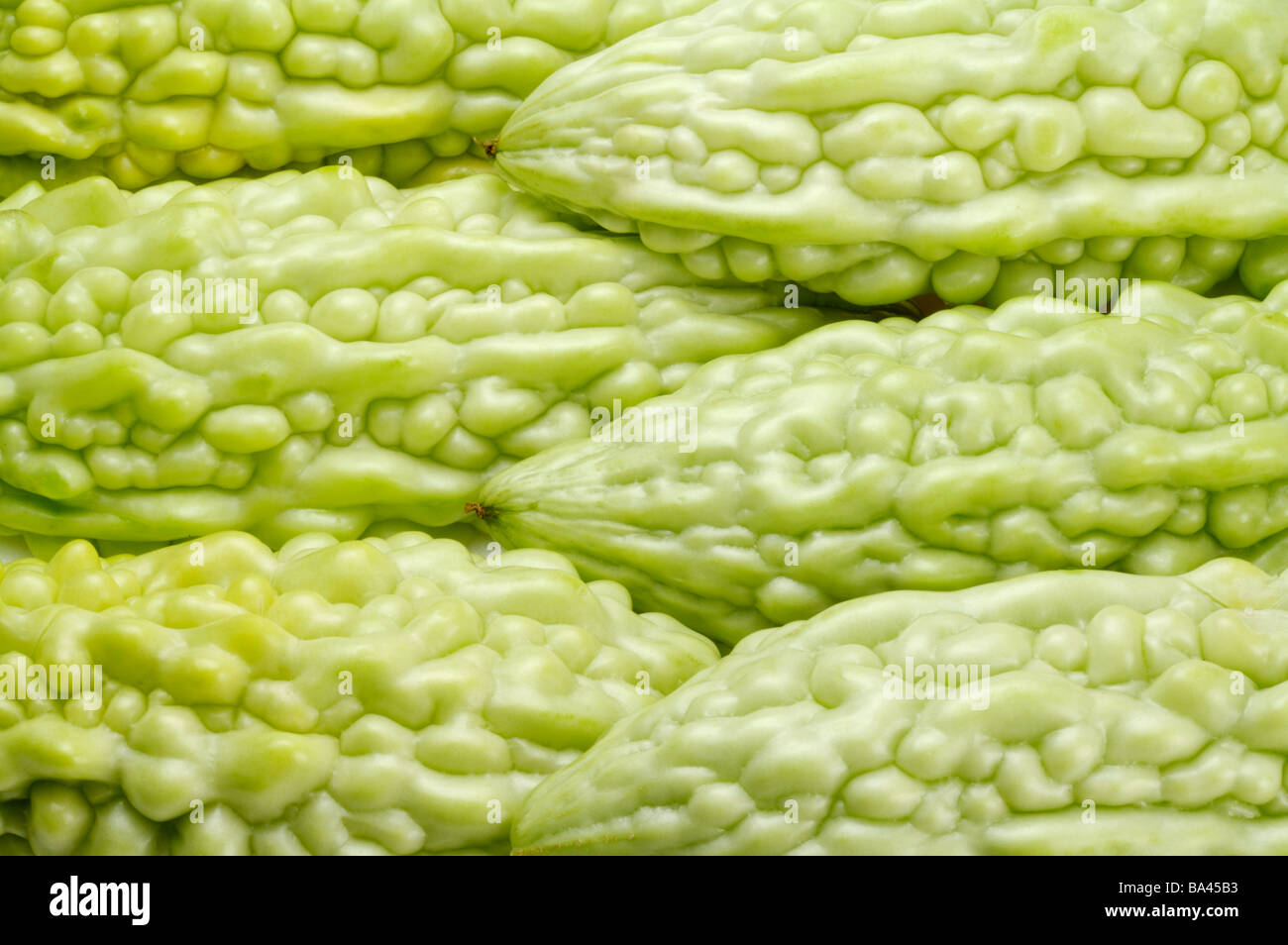 Balsam pear hi-res stock photography and images - Alamy