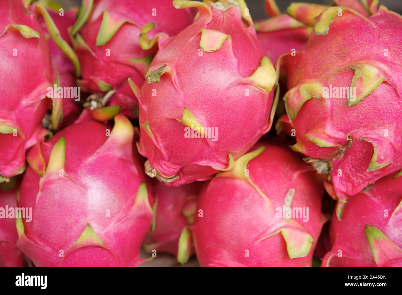 Pitaya purple hi-res stock photography and images - Alamy