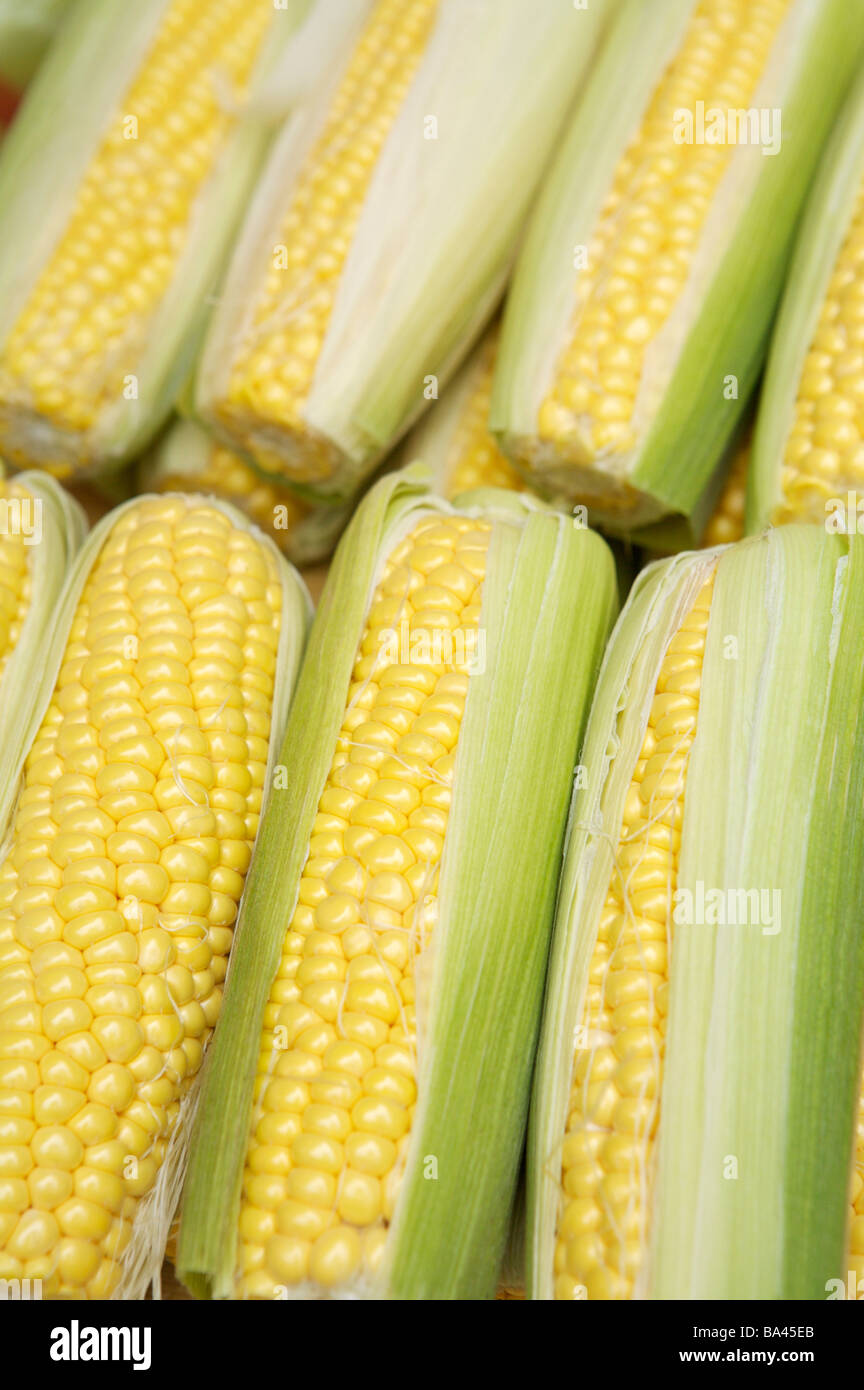 Corn pastel hi-res stock photography and images - Alamy