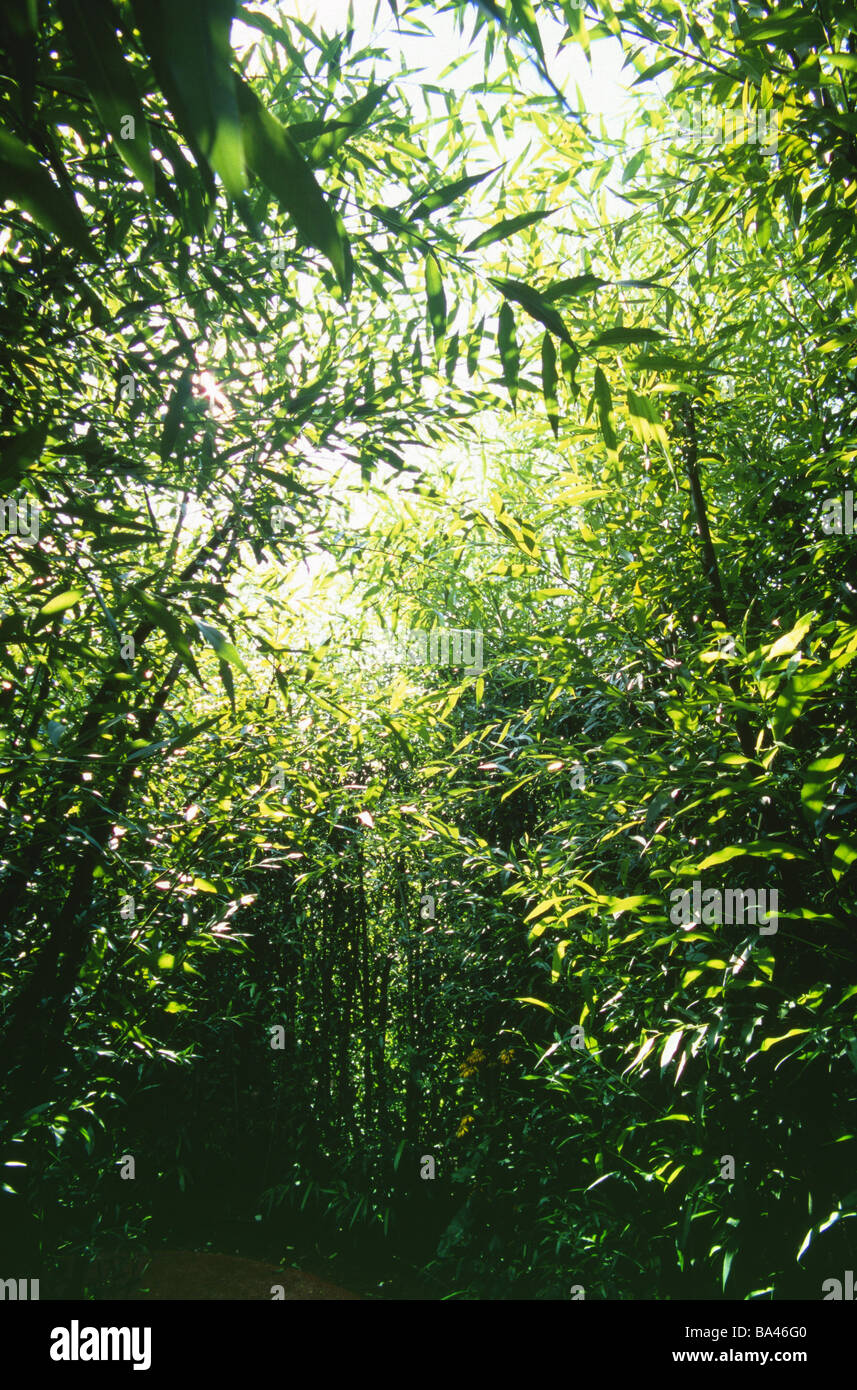 Zellengarten hi-res stock photography and images - Alamy