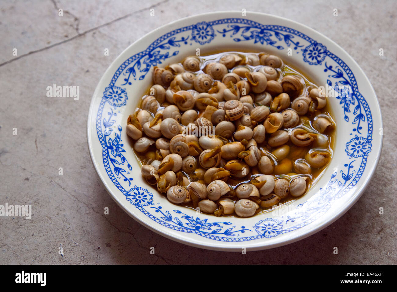 Plate of snails cooked according to the Andalusian style Stock Photo ...