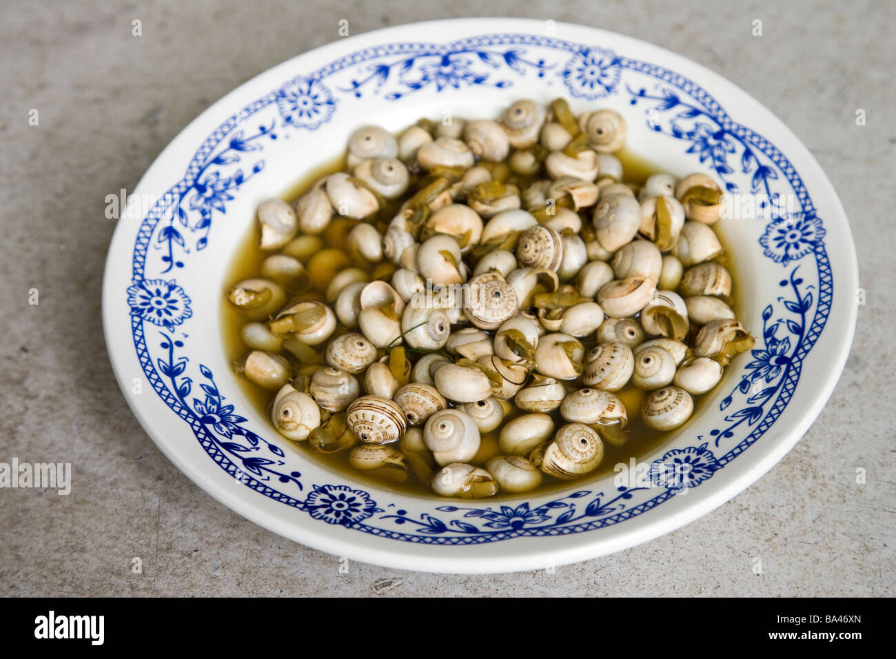 Plate of snails cooked according to the Andalusian style Stock Photo ...
