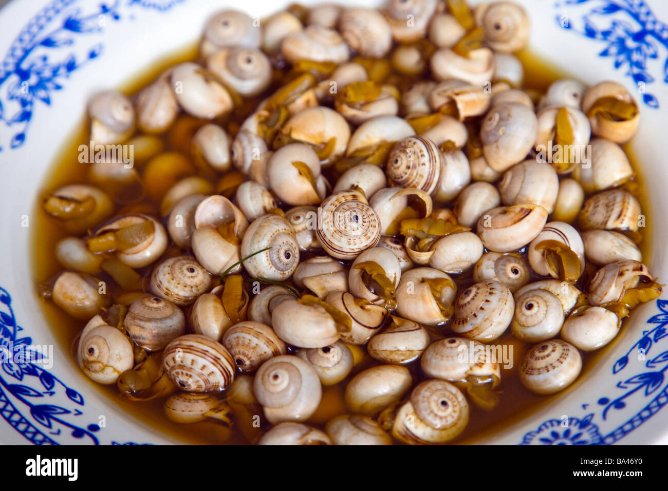 Plate of snails cooked according to the Andalusian style Stock Photo ...