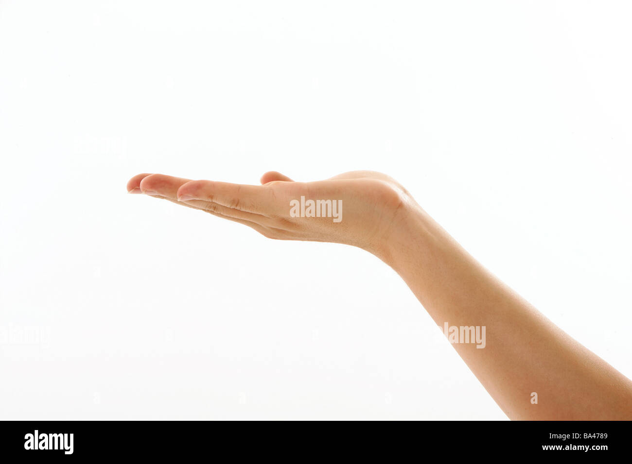 Man s hand with palm up Stock Photo - Alamy