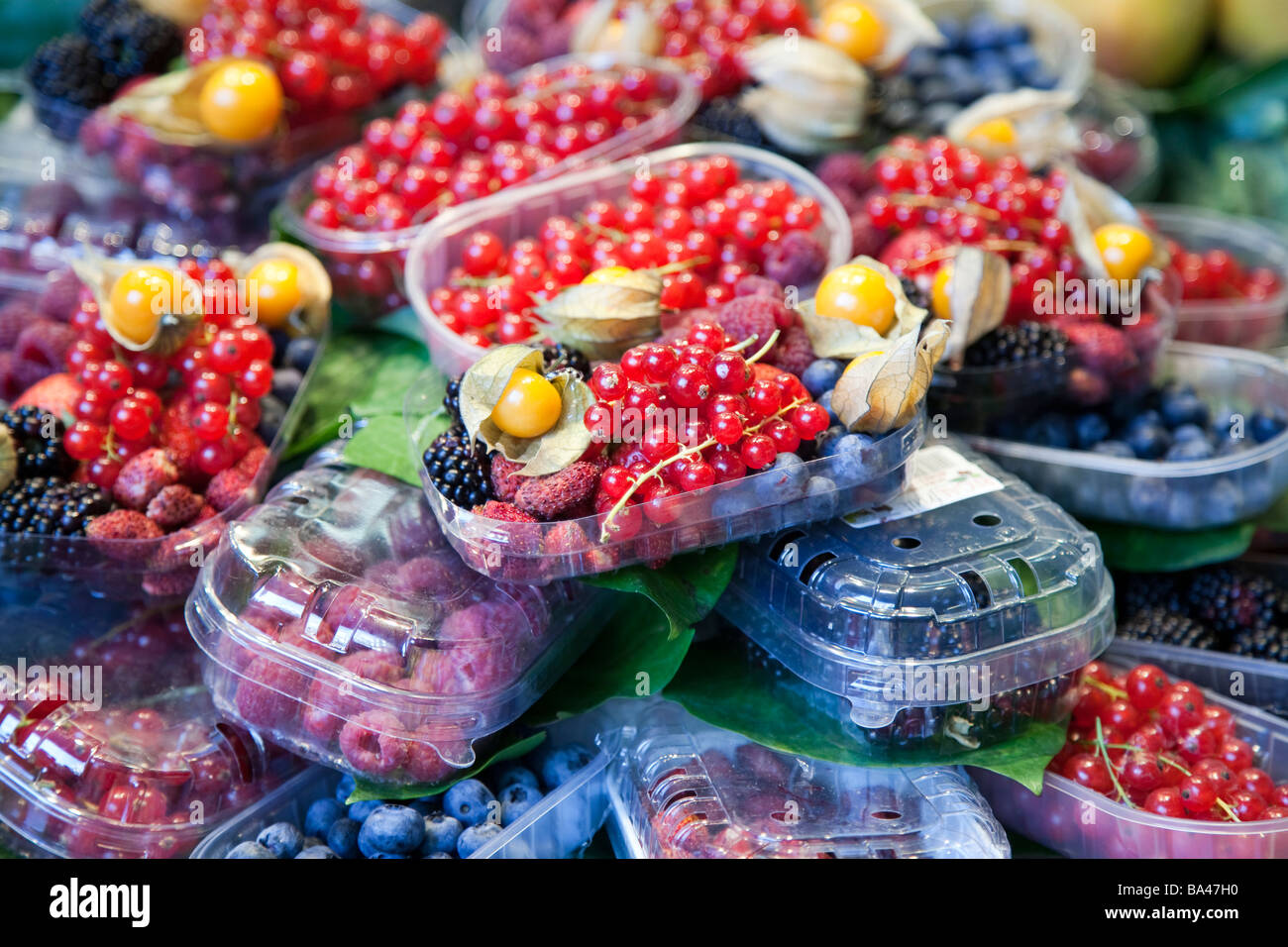 Different kinds of berries Boqueria market town of Barcelona autonomous ...