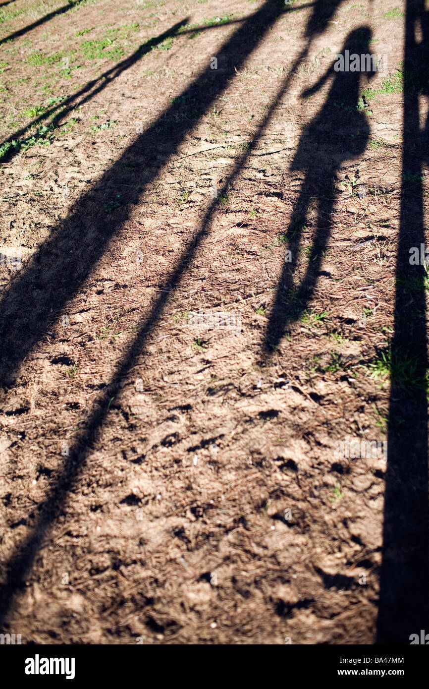 The shadow of a girl on a swing town of Seville autonomous community of ...