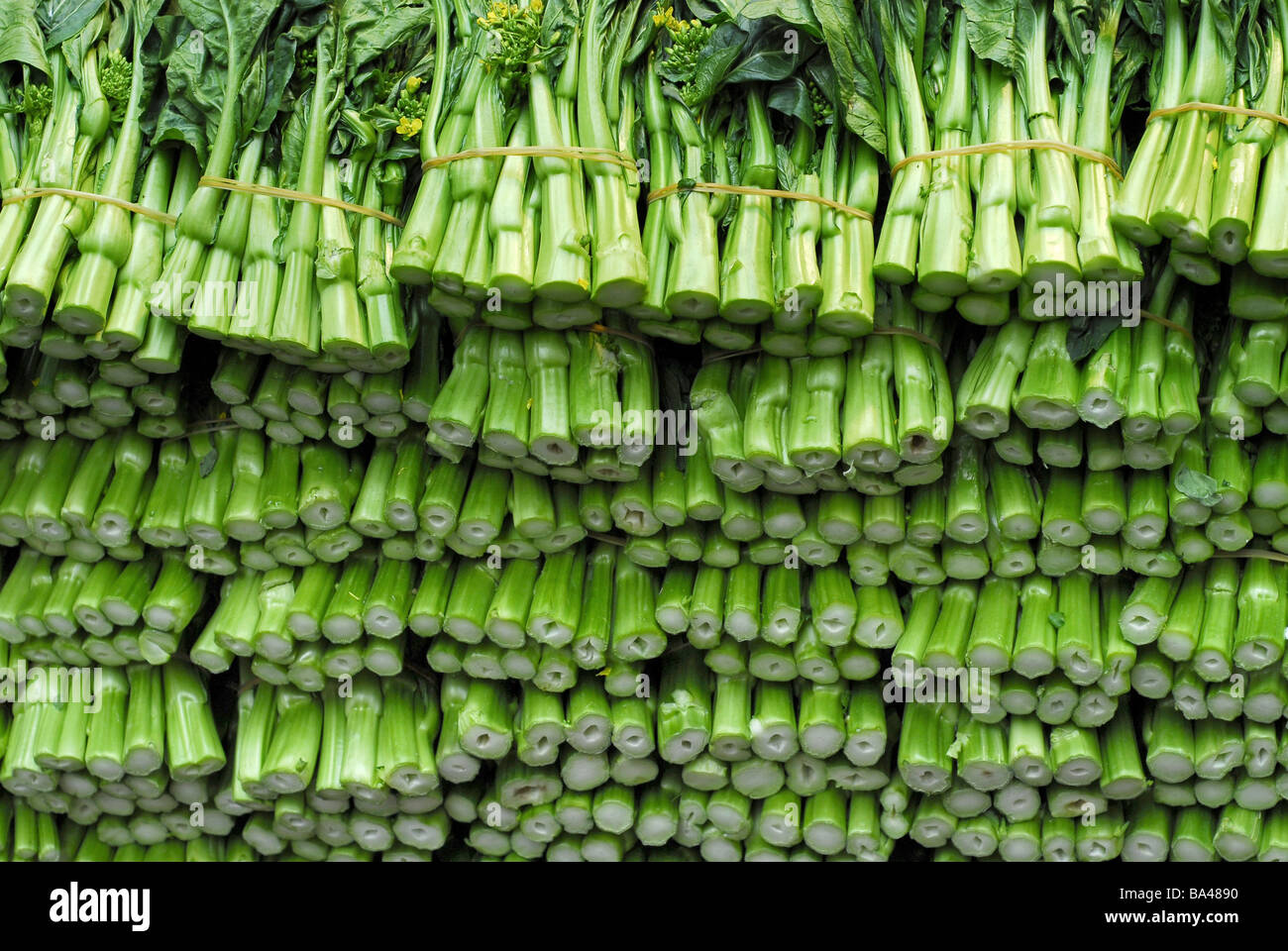 Pak Choi display green leaves Asia China Hong Kong 03/2006 Asia display ...