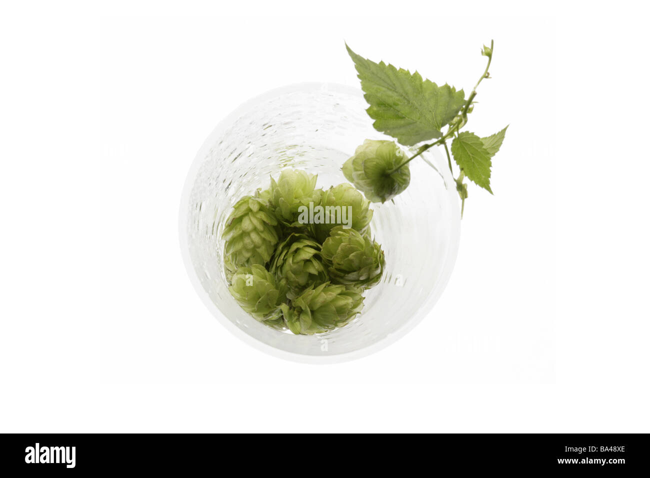 Beer purity law series hi-res stock photography and images - Alamy