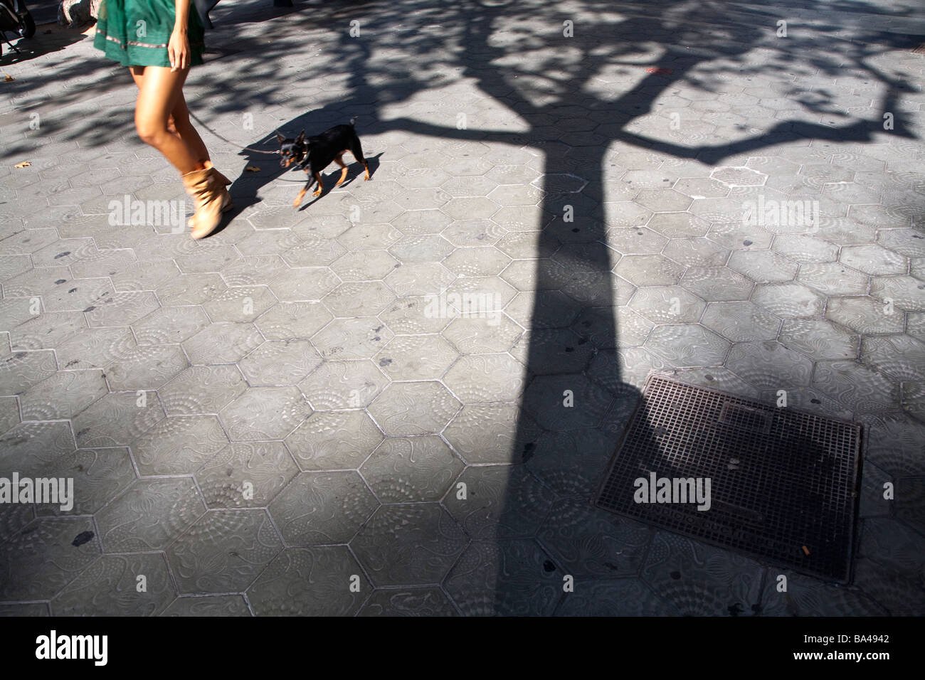 Girl walking the dog Passeig de Gracia town of Barcelona autonomous ...