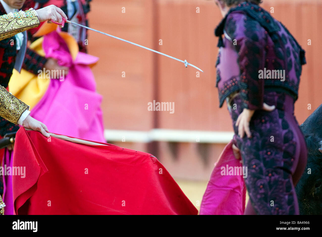 Bullfighter using the descabello or special sword to kill the bull by ...