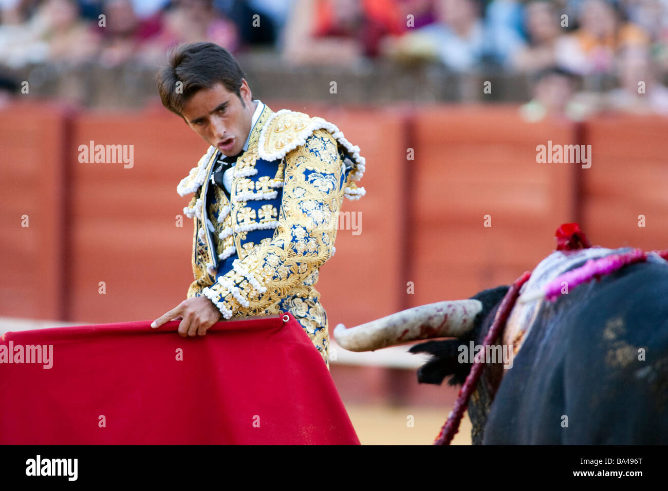 The Spanish bullfighter Fernandez Pineda Real Maestranza bullring ...