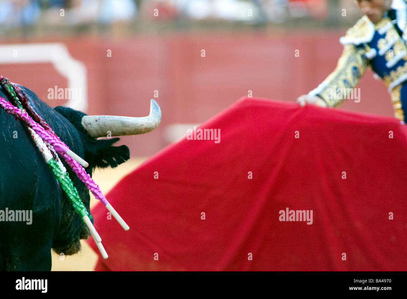 The Spanish bullfighter Fernandez Pineda Real Maestranza bullring ...