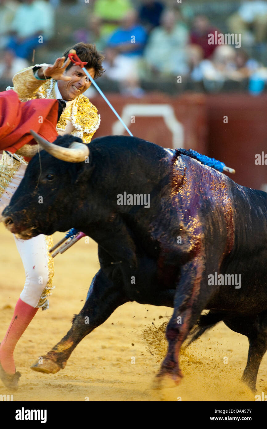 The Spanish bullfighter Cesar Giron stabbing a bull Real Maestranza ...