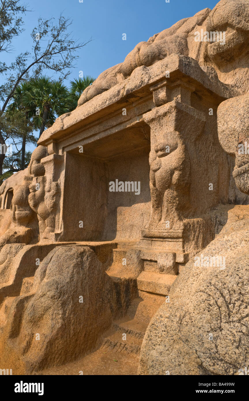 Tiger india temple hi-res stock photography and images - Alamy